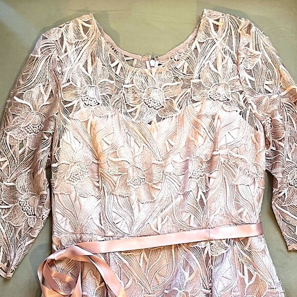 Alex Evenings | Dresses | Alex Evenings Womens Tea Length Aline ...